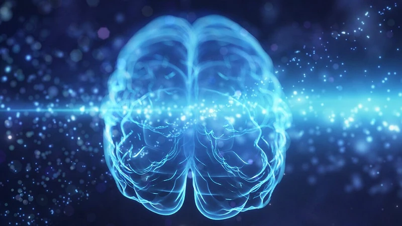 The Neuroscience Behind a Growth Mindset - Growth Mindset with Bernard+